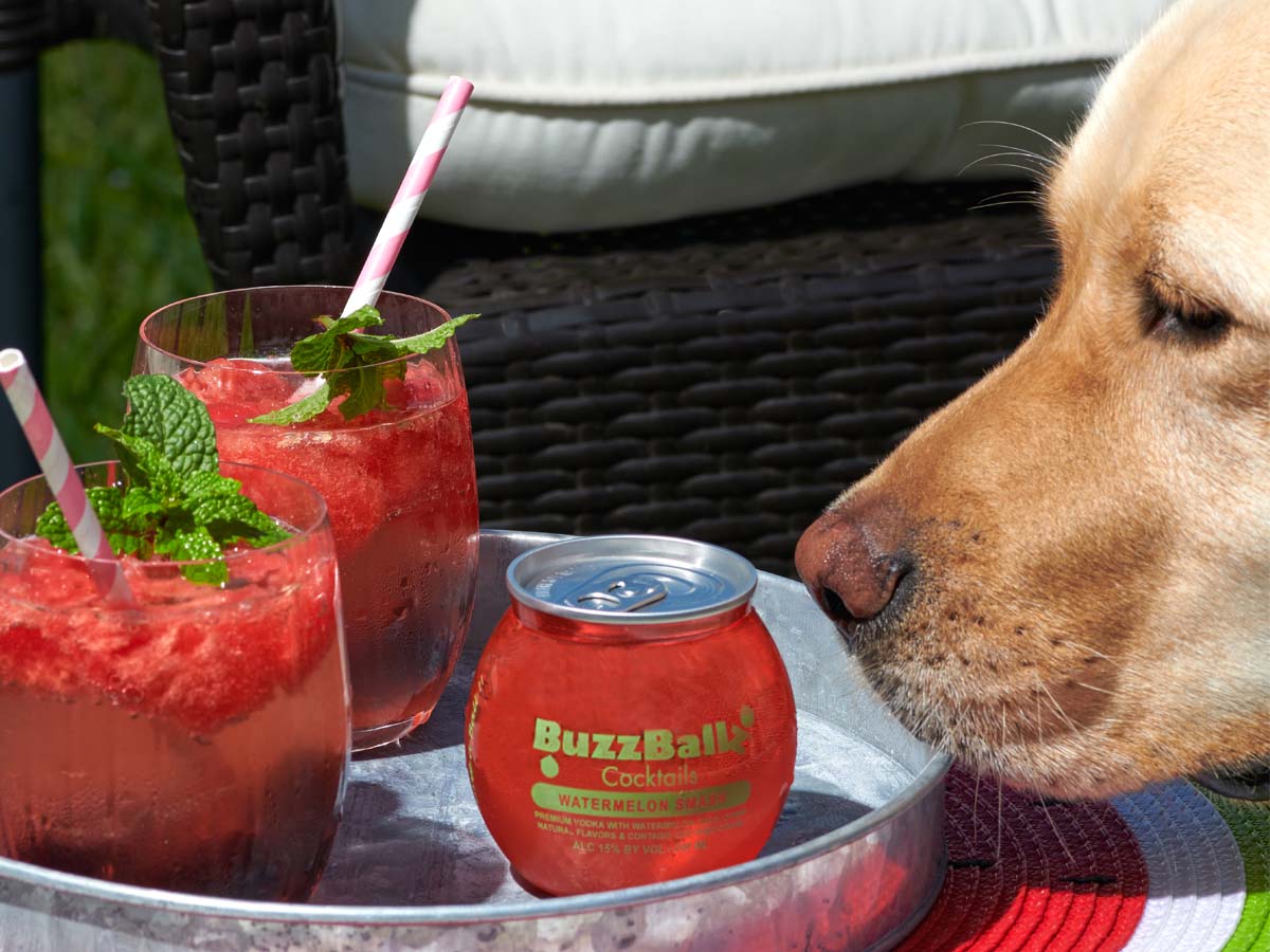 Watermelon Prosecco Punch Cocktail - Buzzballz